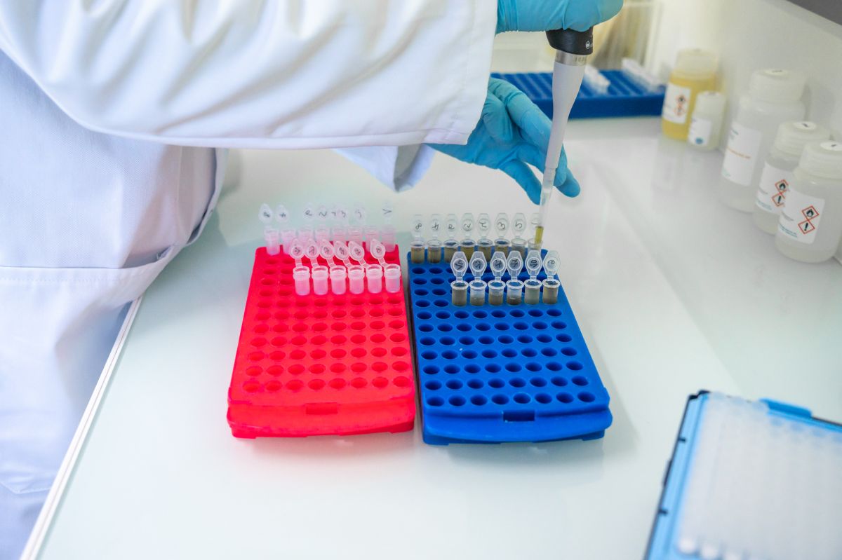 Analysez votre vigne pour réussir votre projet viticole